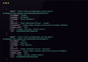 Data Enrichment API | Get The Fresh Data On-Demand